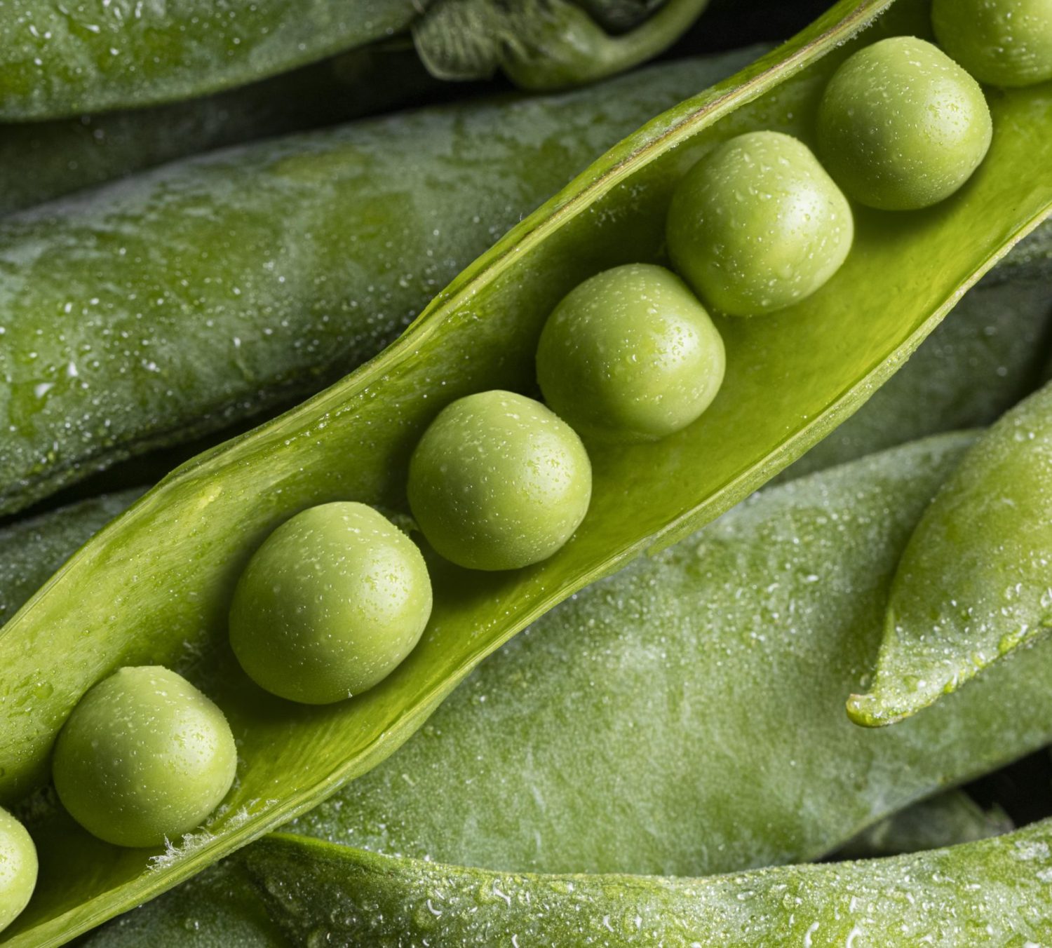 What are Agile POD teams, and how to make them work for you - Dreamix