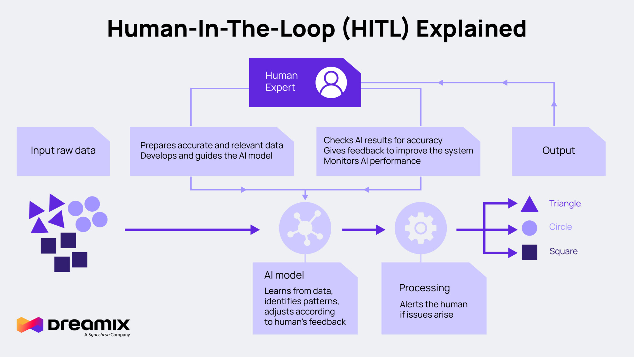 What Is Human In The Loop Hitl In Ai Development
