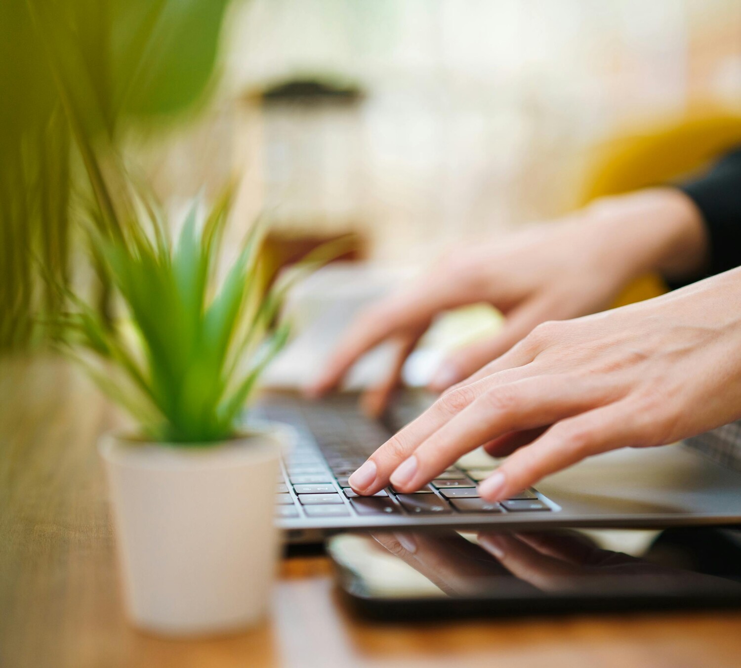 The 7 Best Principles of Sustainable Software Development